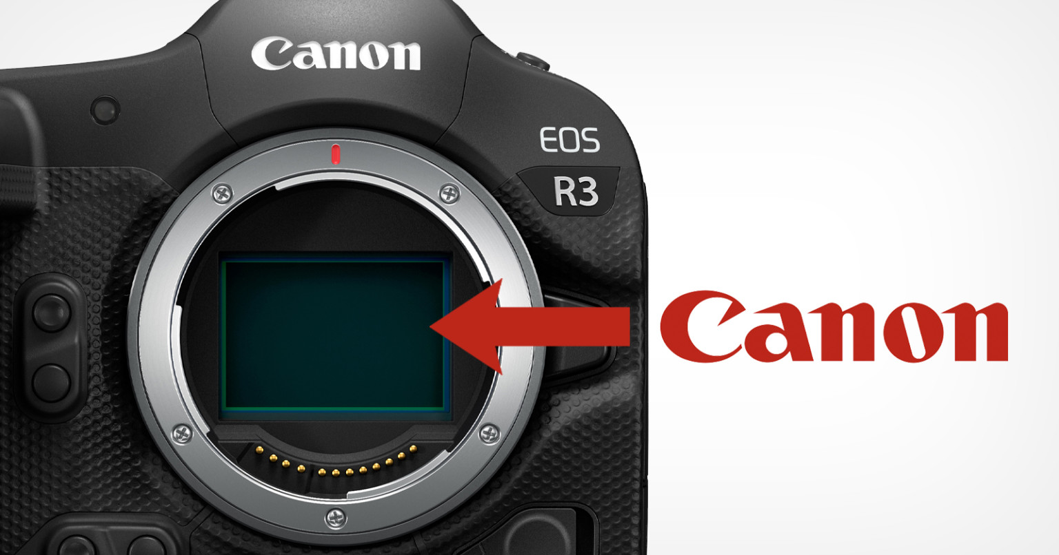 Canon Rebuffs Rumors That Its R3 Sensor is Made by Sony | PetaPixel