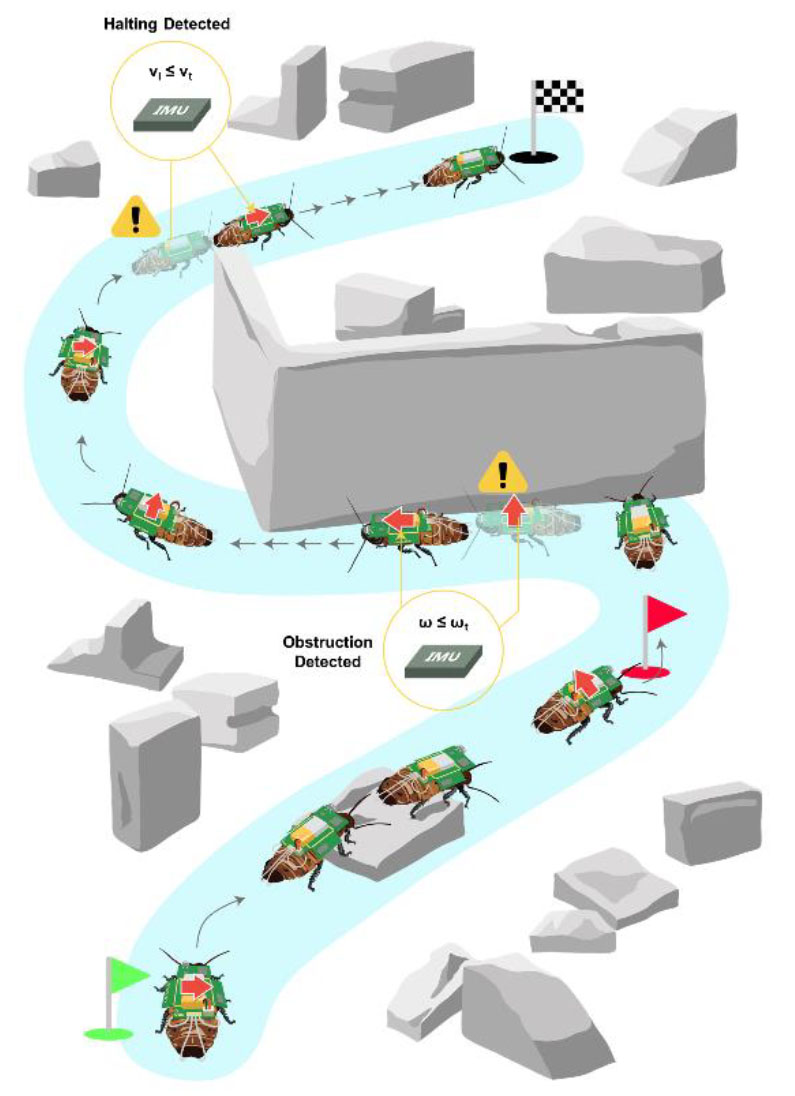 Scientists Create Cyborg Cockroach Camera for Search and Rescue | PetaPixel