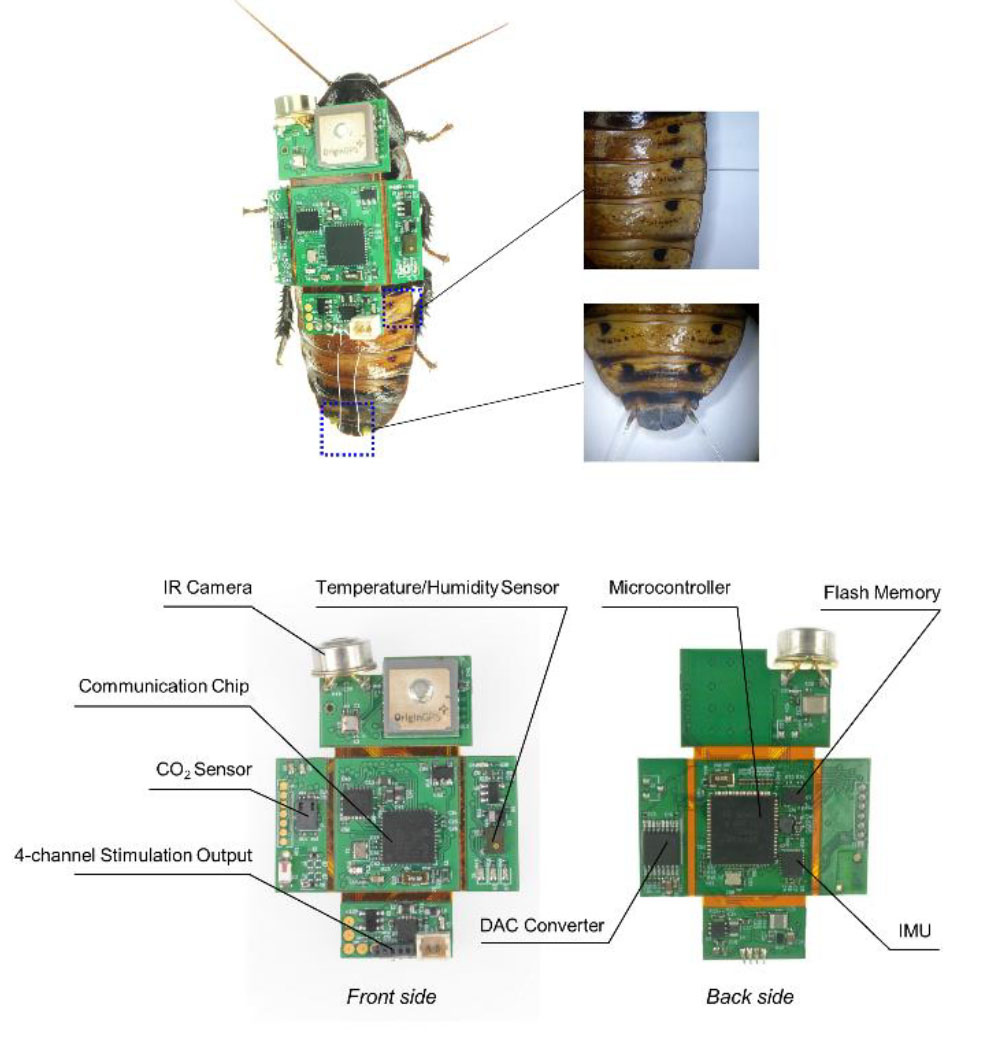 Scientists Create Cyborg Cockroach Camera for Search and Rescue | PetaPixel