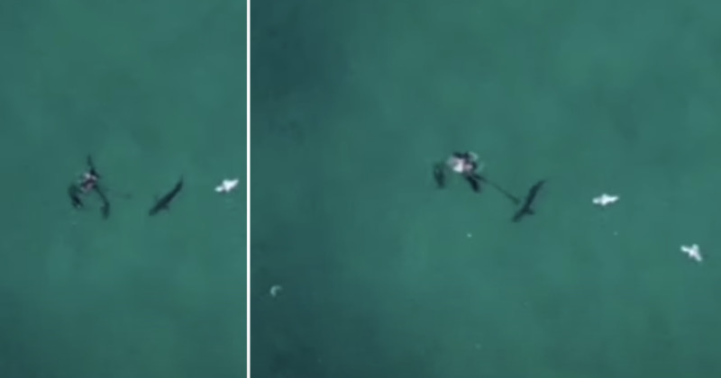 Minox Riga: A Subminiature Spy Camera from the 1930s | PetaPixel