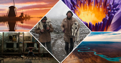 These are the Winners of the 2021 iPhone Photography Awards | PetaPixel