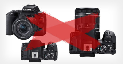 Why I Never Recommend Entry-Level Canon DSLRs to New Portrait Shooters ...