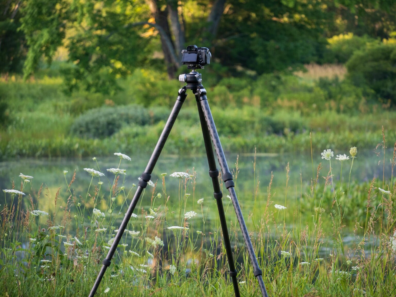 The Best Tripods in 2026 | PetaPixel
