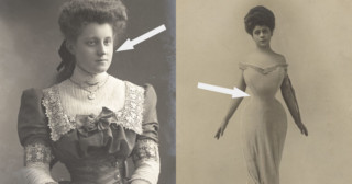 A Frog Riding a Beetle: Is This a Real Wildlife Photo or a Bunch of BS ...