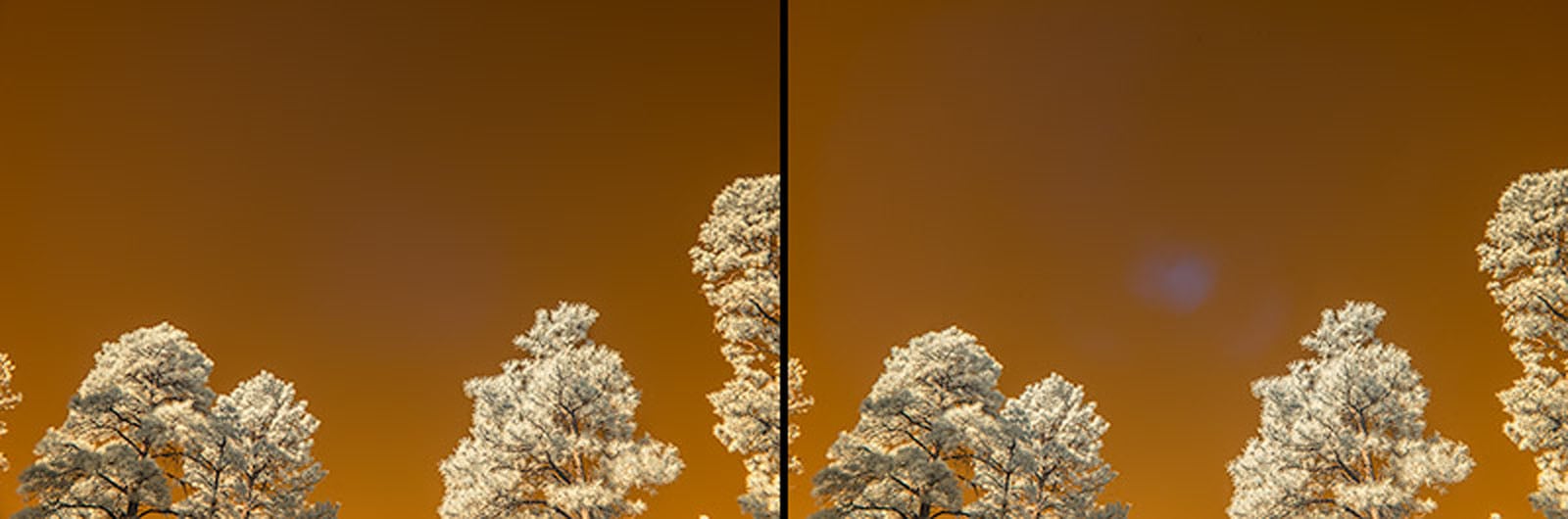 How to Choose the Best Lenses for Infrared Photography | PetaPixel