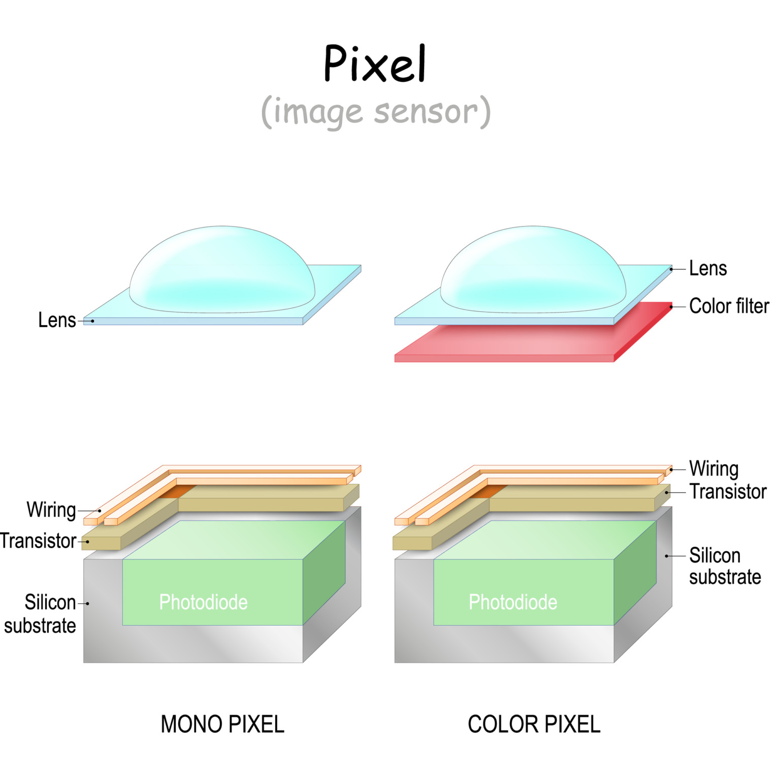 What is the Difference Between a CCD and CMOS Camera Sensor? | PetaPixel
