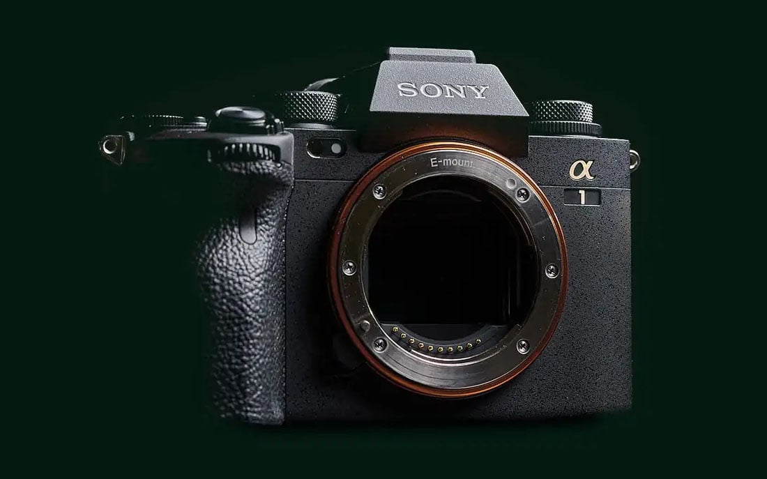A Review of the Sony Alpha 1 for Wedding Photography | PetaPixel