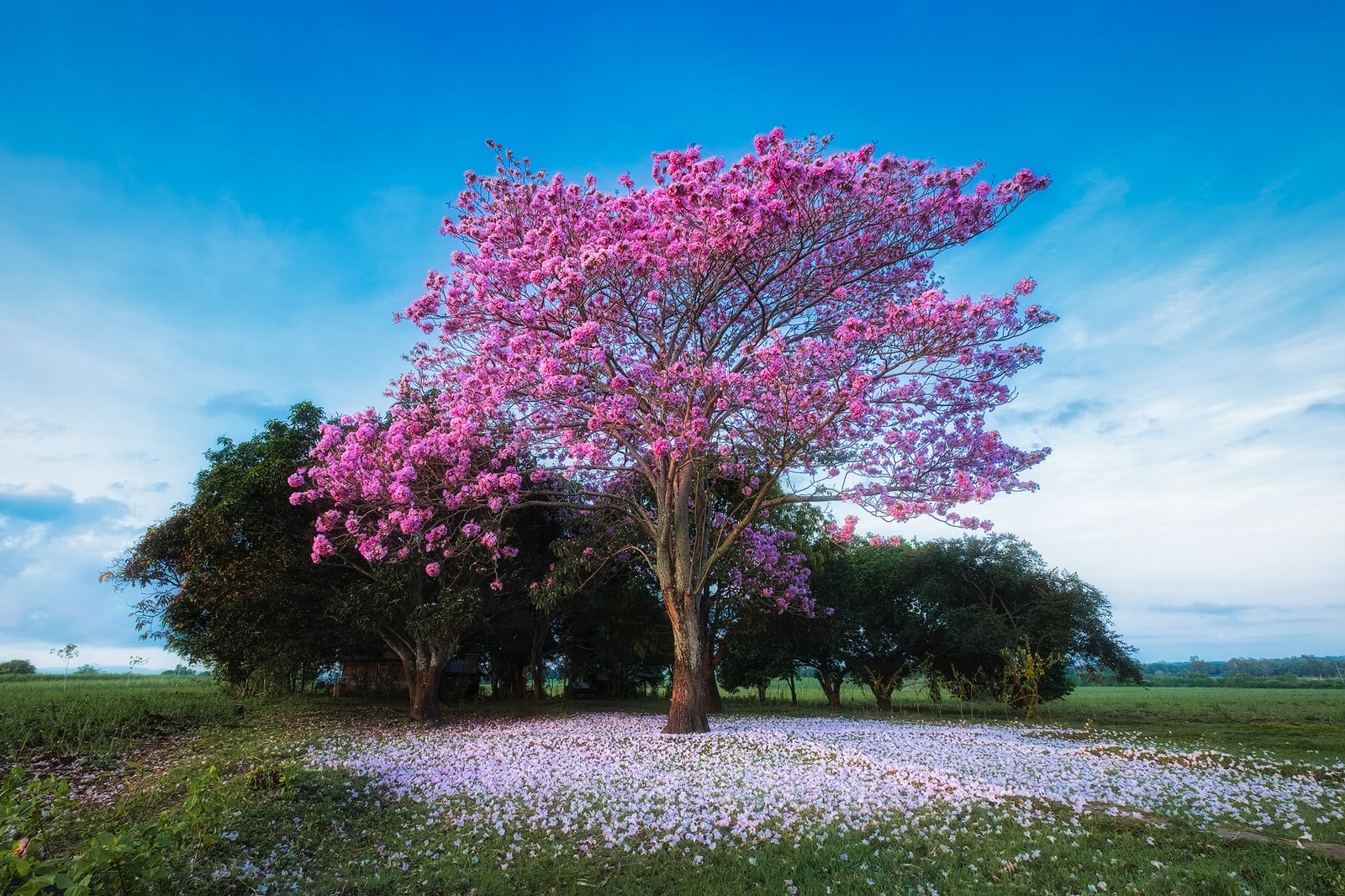 Unable To Travel, This Photographer Focused on Capturing his Homeland ...
