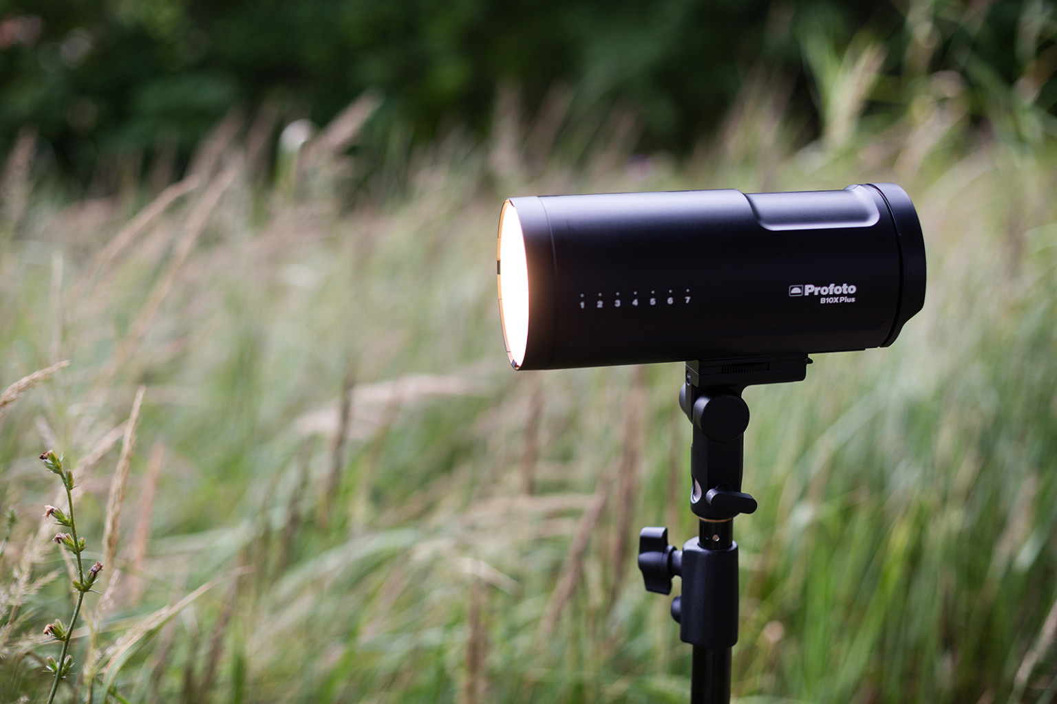 Profoto's New B10X and B10X Plus Have 30% Brighter Modeling Lamps ...