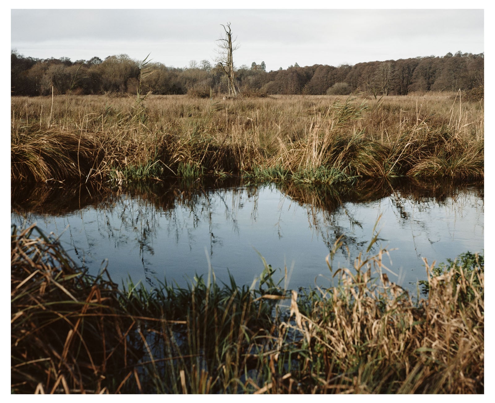 1 Camera in 9 Forms: How the Goodman Zone is Being Used by ...