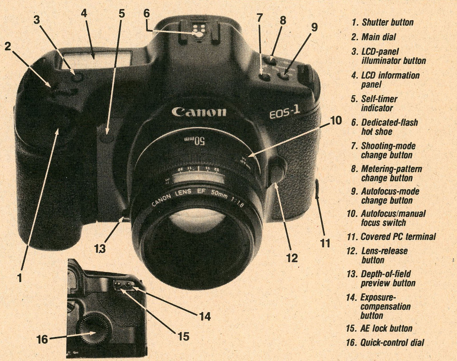 The 10 Hottest 35mm Cameras You Could Buy in 1991 | PetaPixel
