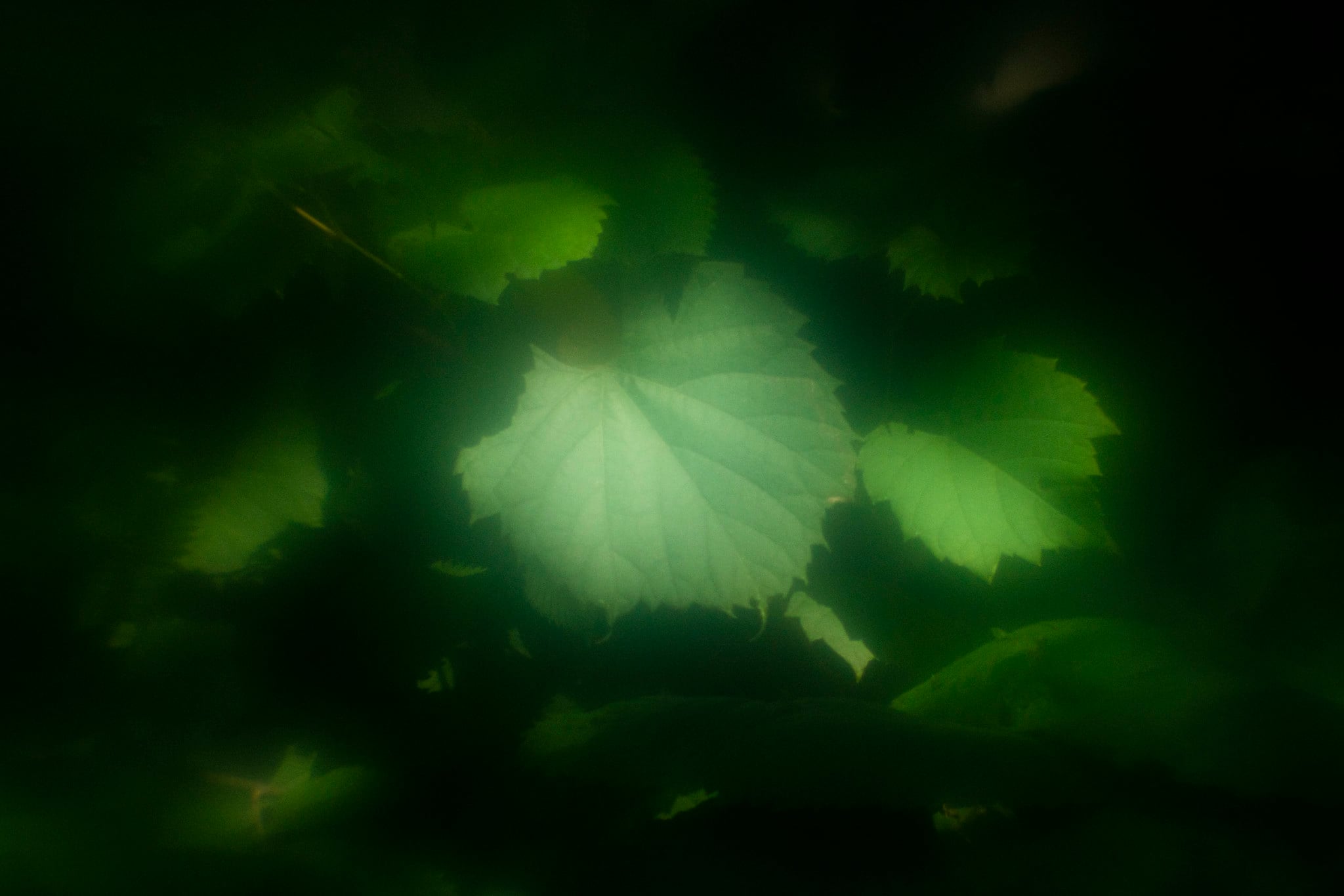 How to Turn a Magnifying Glass into a Focusable Lens for a Vintage Look ...