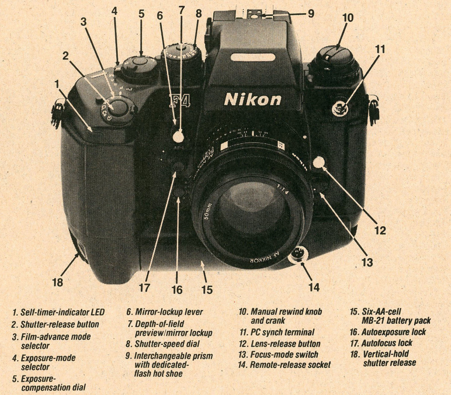 The 10 Hottest 35mm Cameras You Could Buy in 1991 | PetaPixel