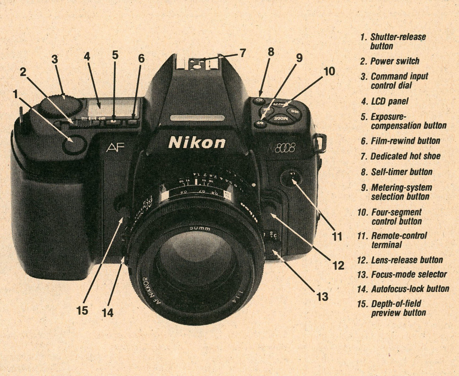 The 10 Hottest 35mm Cameras You Could Buy in 1991 | PetaPixel