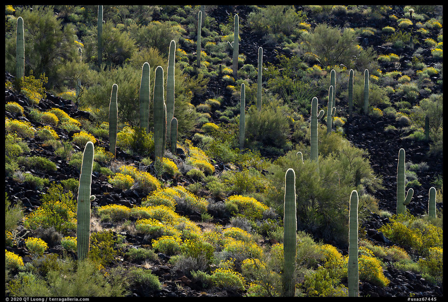13 Tips for Shooting Sharp Landscape Photos with a Telephoto Lens ...