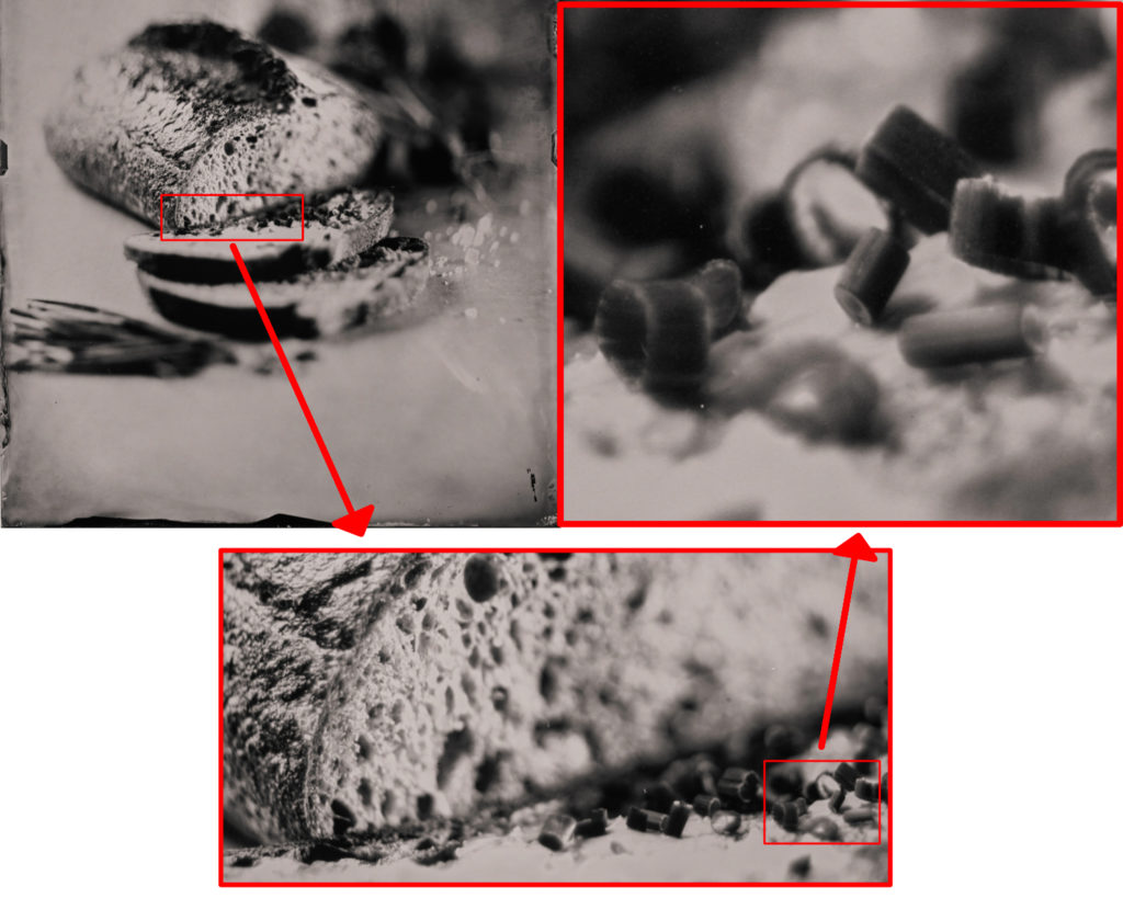 Combining a 170-Year Old Wet Plate Process with Food Photography ...