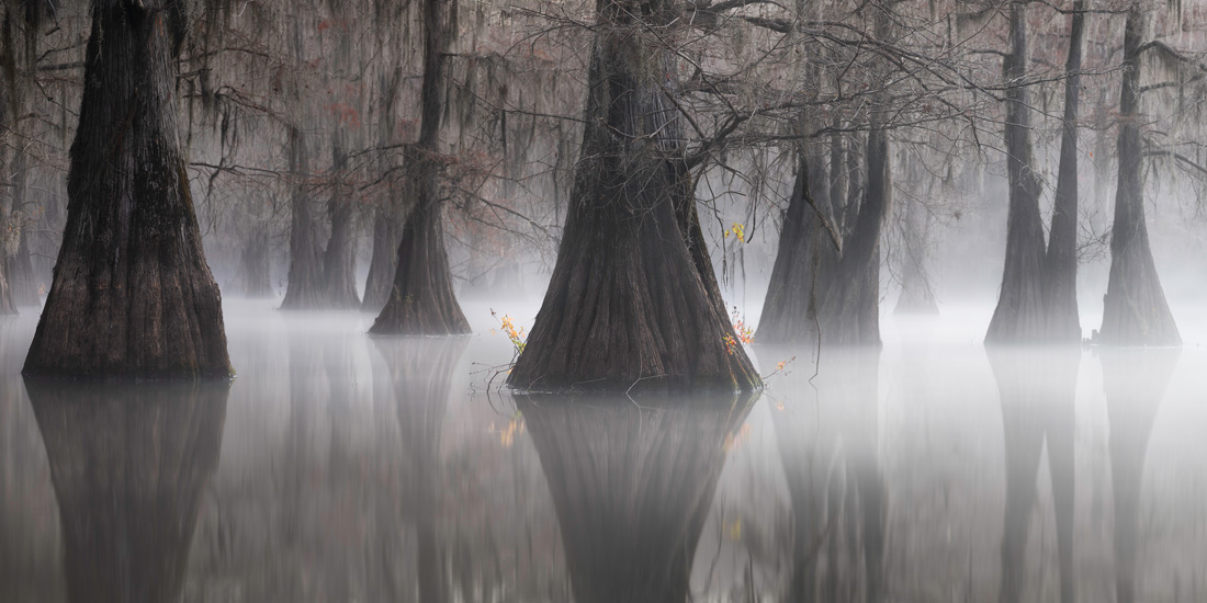The Best Panoramic Photos of 2021: Epson International Pano Awards ...