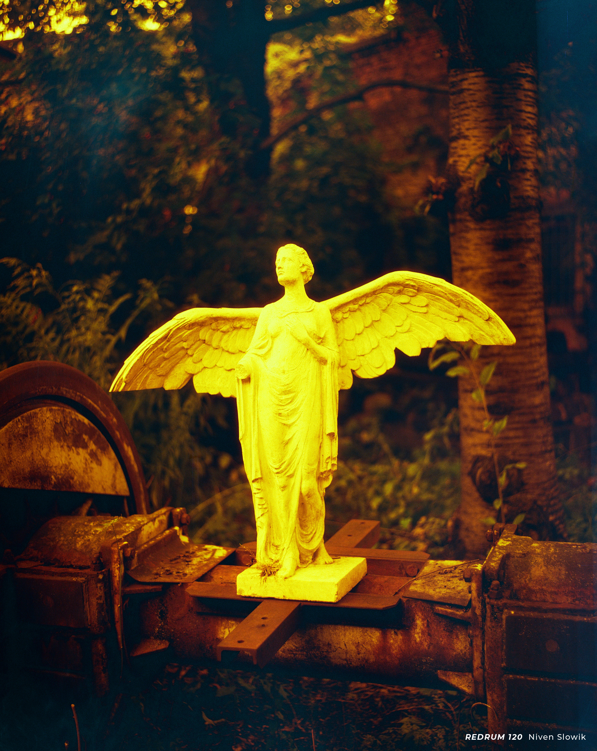 CineStill Unveils 'RedRum' Limited Edition Medium Format Red Scale Film ...