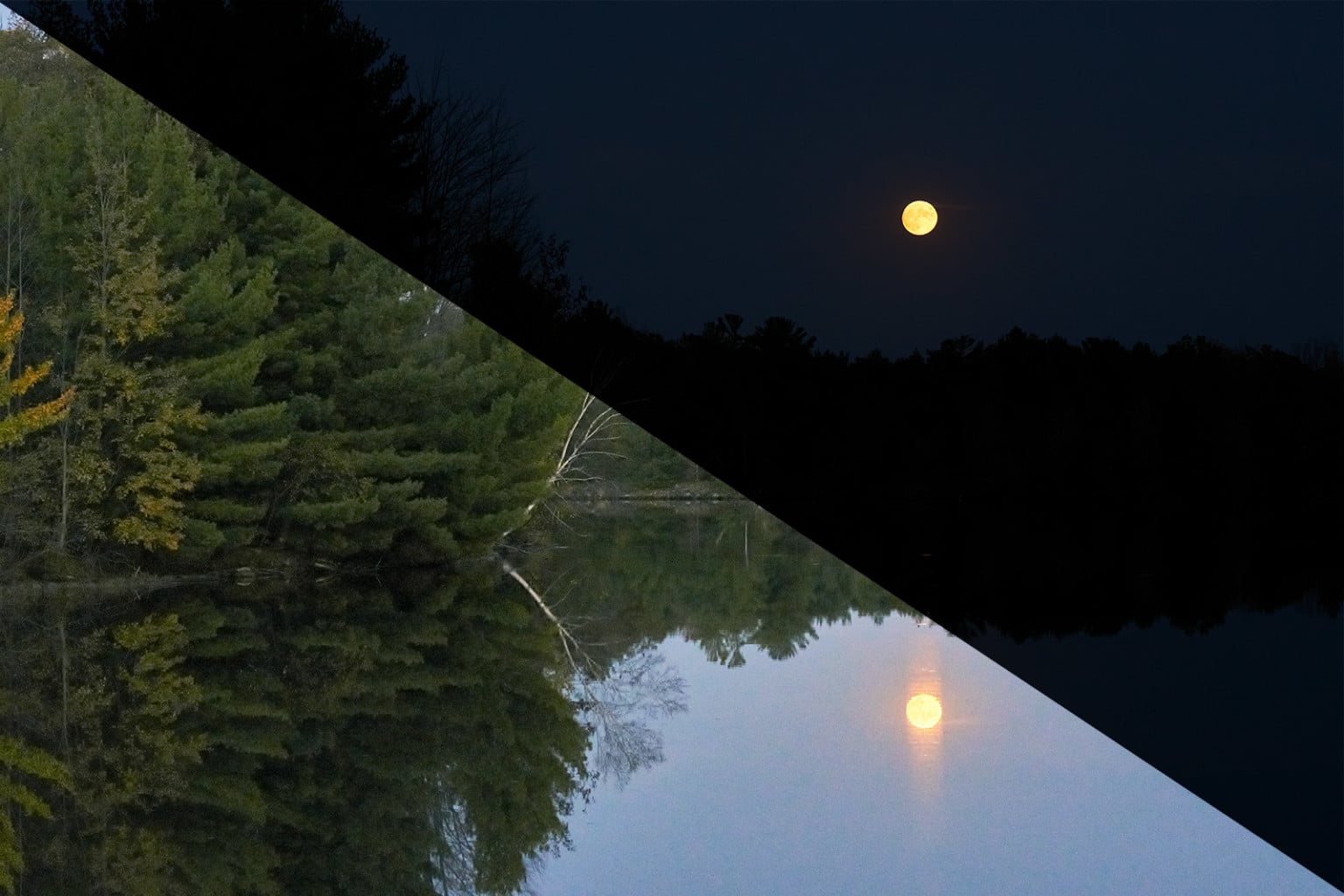 Sony Alpha 7 IV Review: The Best Camera Sony Has Ever Made... Almost ...