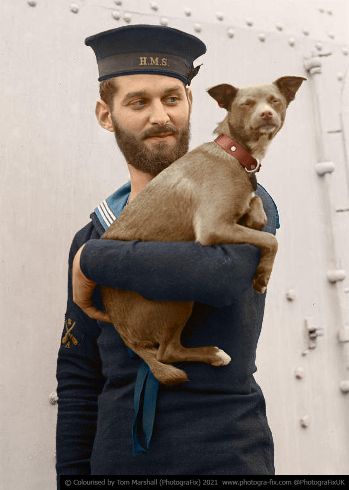 Colorized Photos of Wartime Animals Reveal Their Sacrifice | PetaPixel