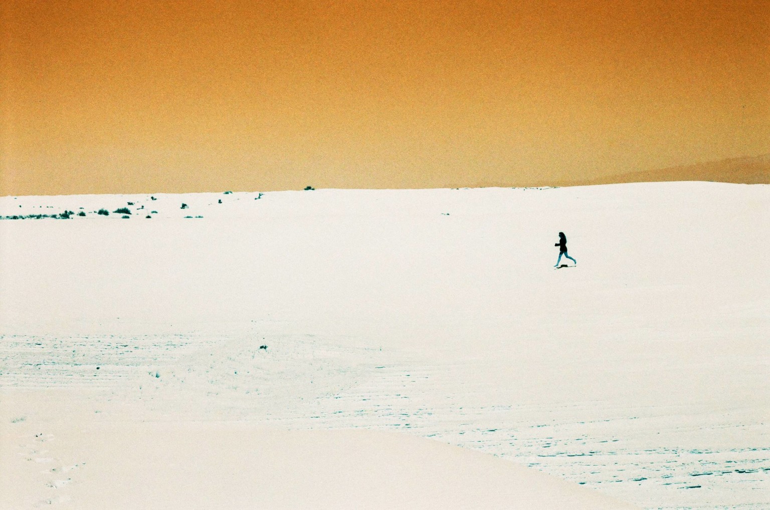 Lomography Brings Back Color Shifting Lomochrome Turquoise Film | PetaPixel