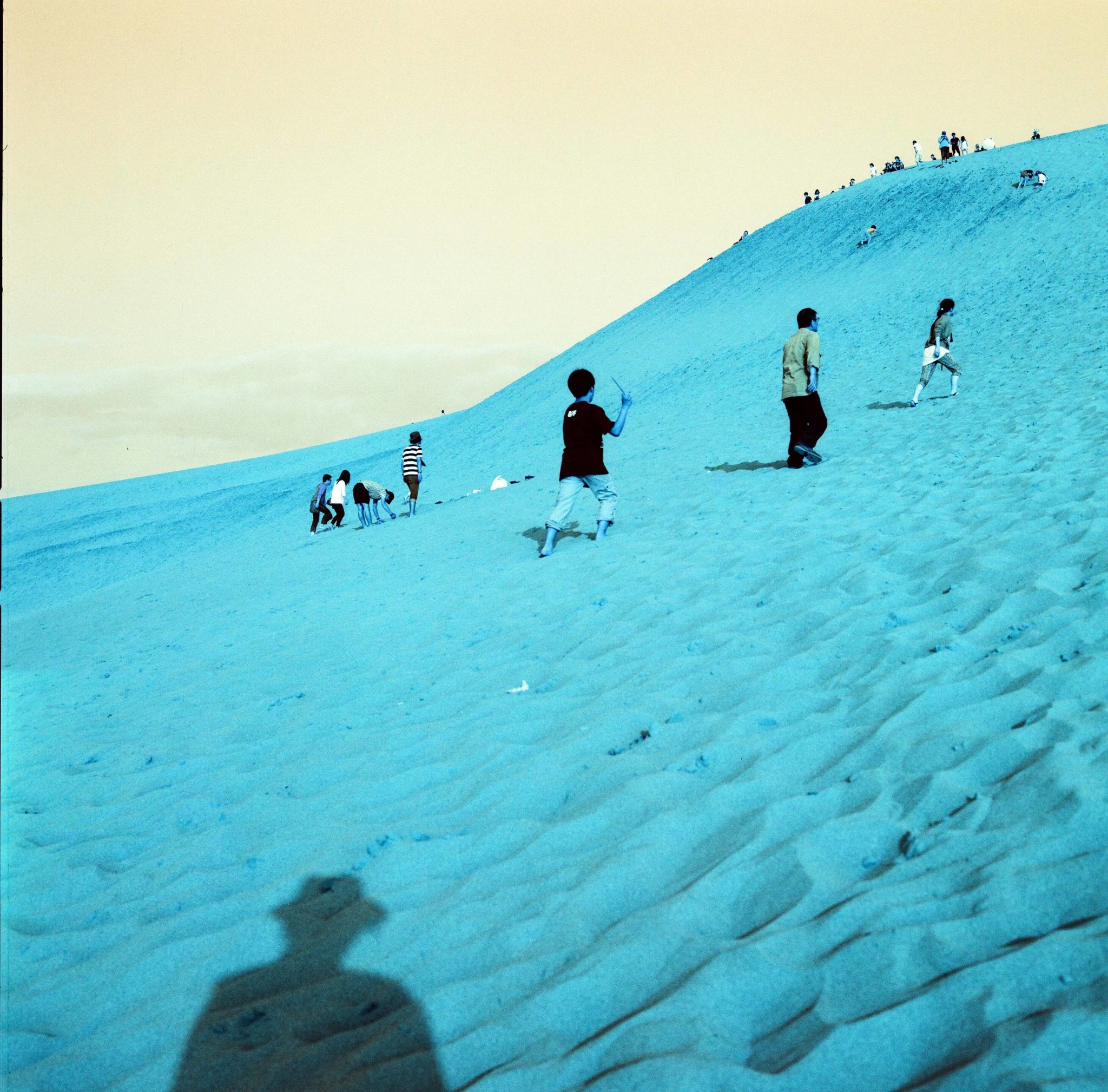 Lomography Brings Back Color Shifting Lomochrome Turquoise Film | PetaPixel