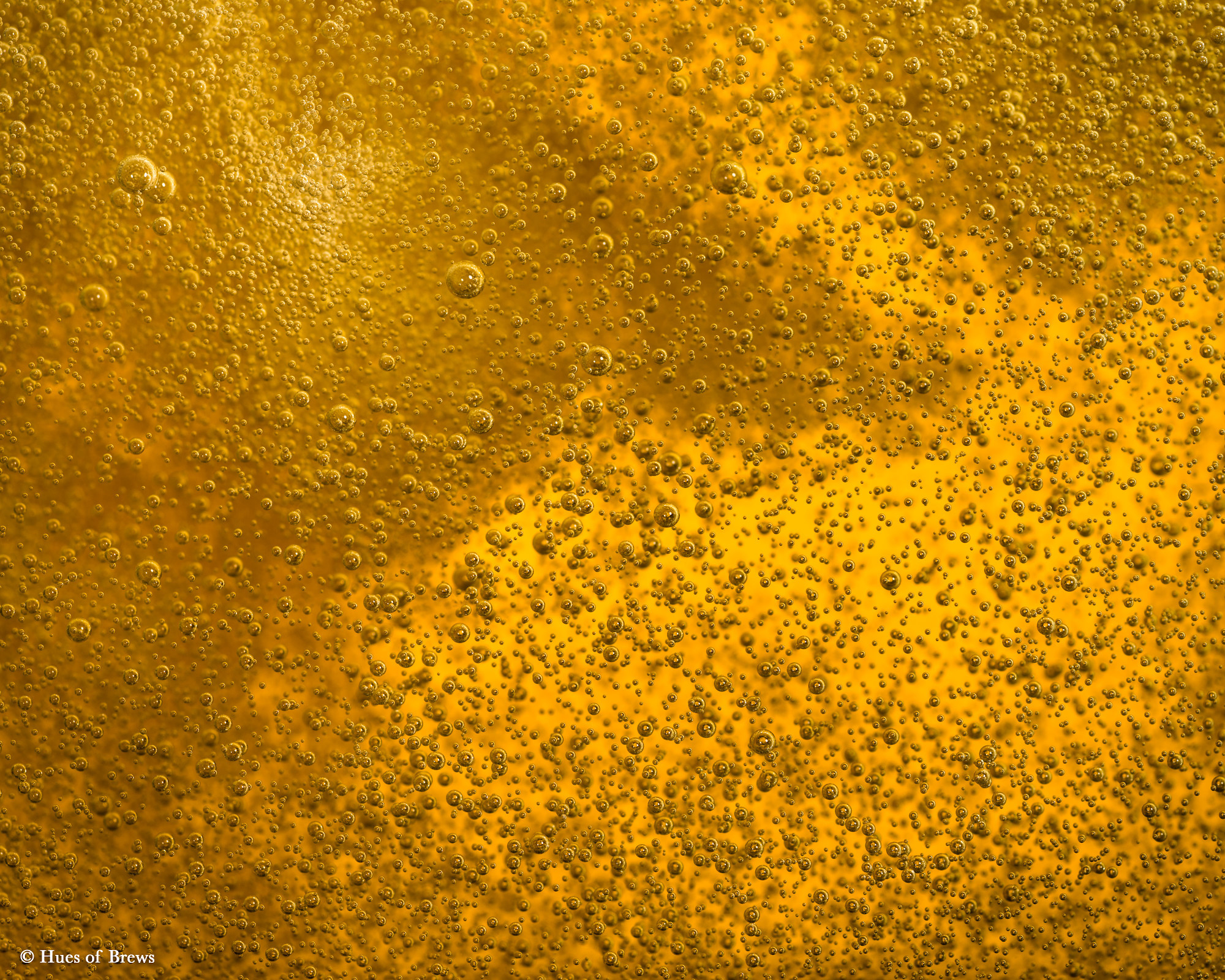'Hues of Brews' is a Photo Series That Celebrates the Color of Beer ...