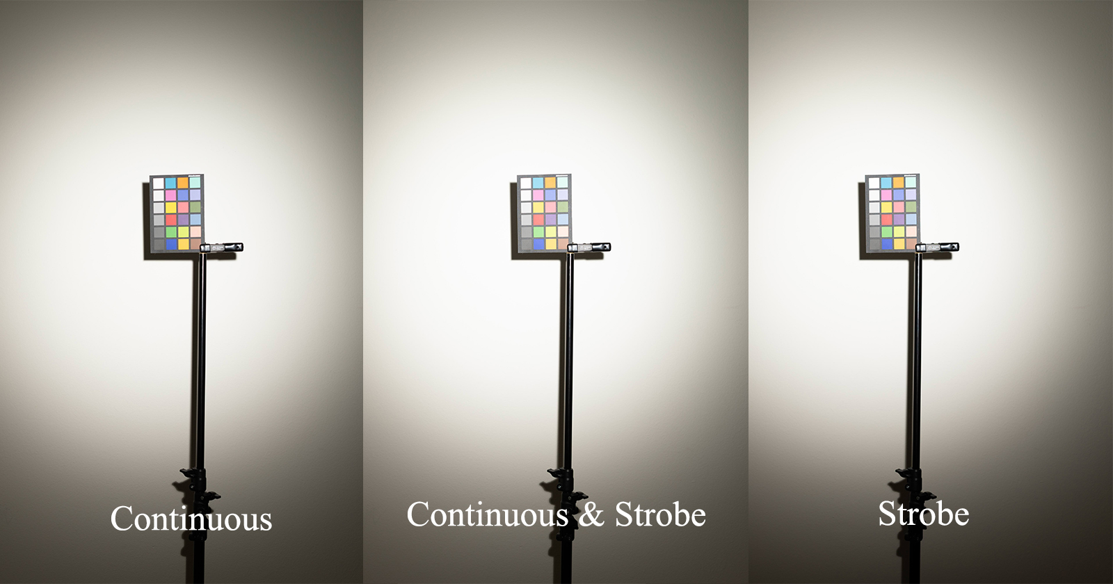 StellaPro Reflex S Review: One Light to Rule Them All? | PetaPixel