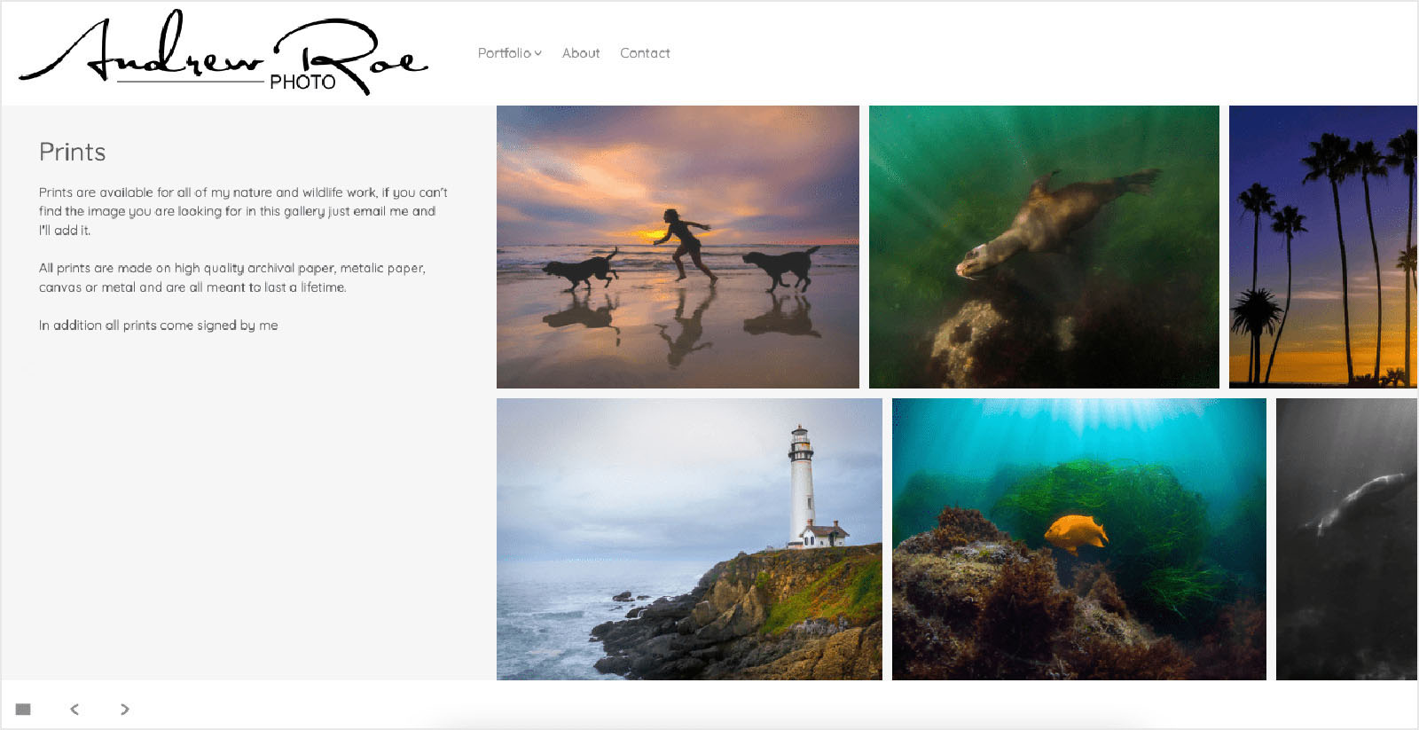 10 Common Photography Website Mistakes (And How to Fix Them) | PetaPixel