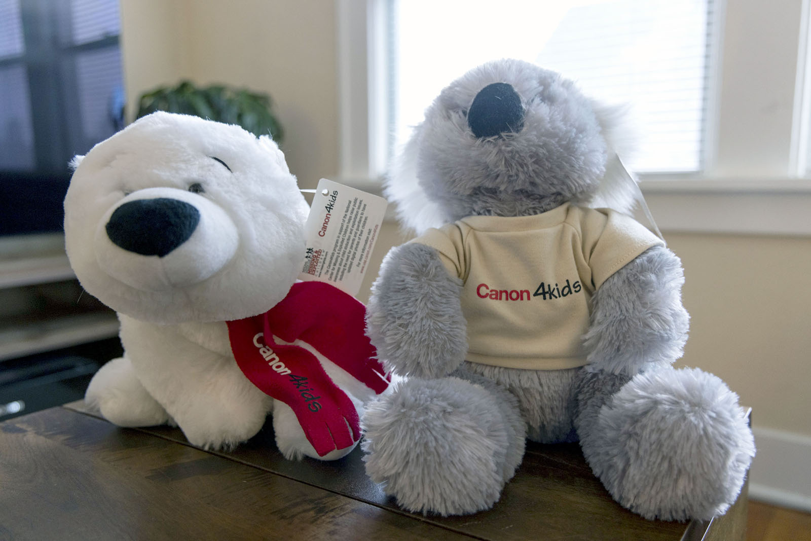 This Official Canon Teddy Bear Comes with Its Own DSLR | PetaPixel