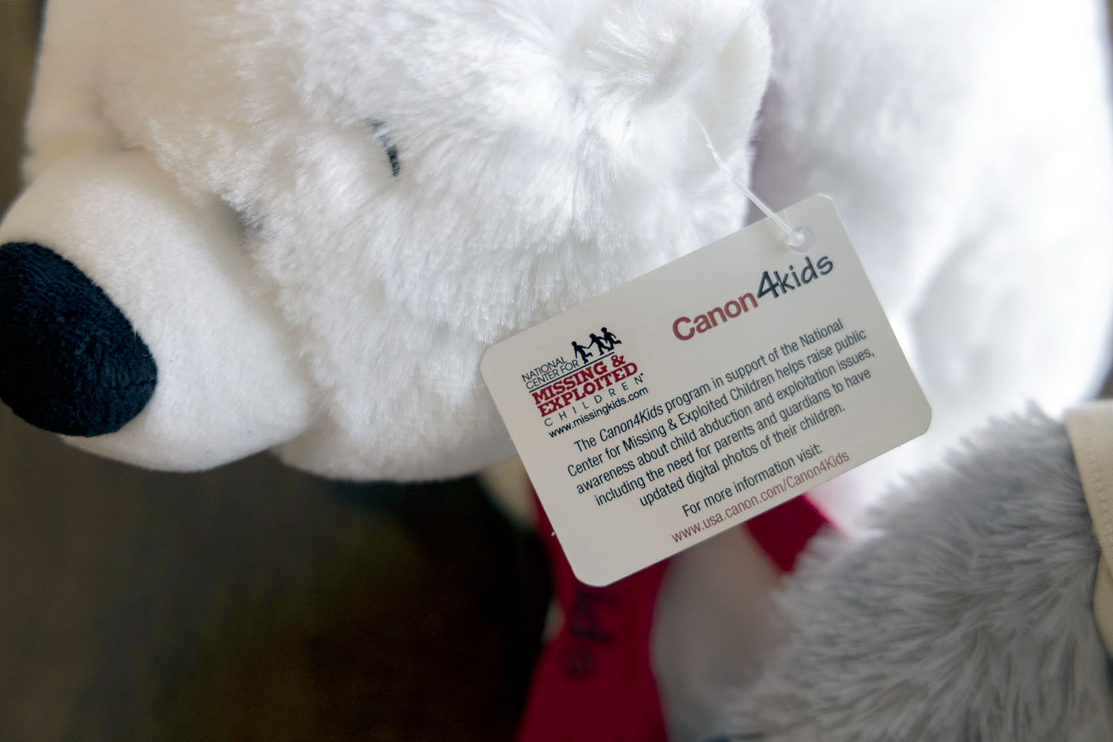 This Official Canon Teddy Bear Comes with Its Own DSLR | PetaPixel