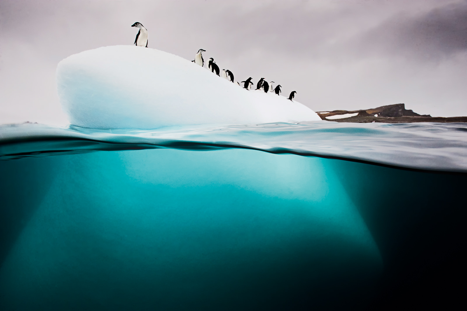 Photographer Captures Beautiful Split Photos Above and Below the Sea ...