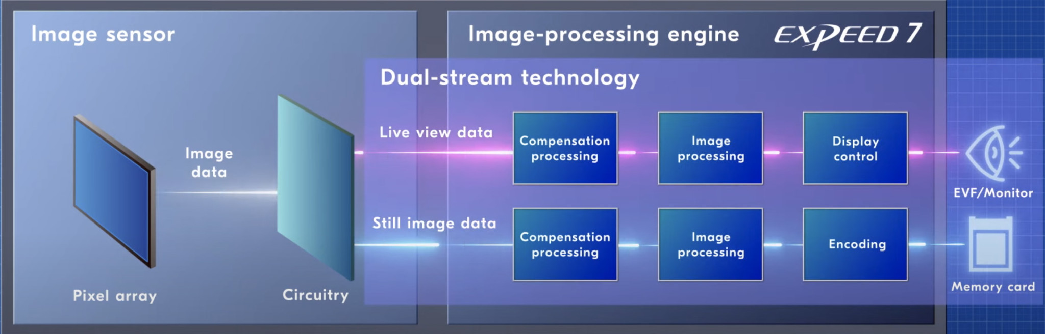 La tecnologia Nikon Z9 "Dual-Stream" registra le immagini e le ...