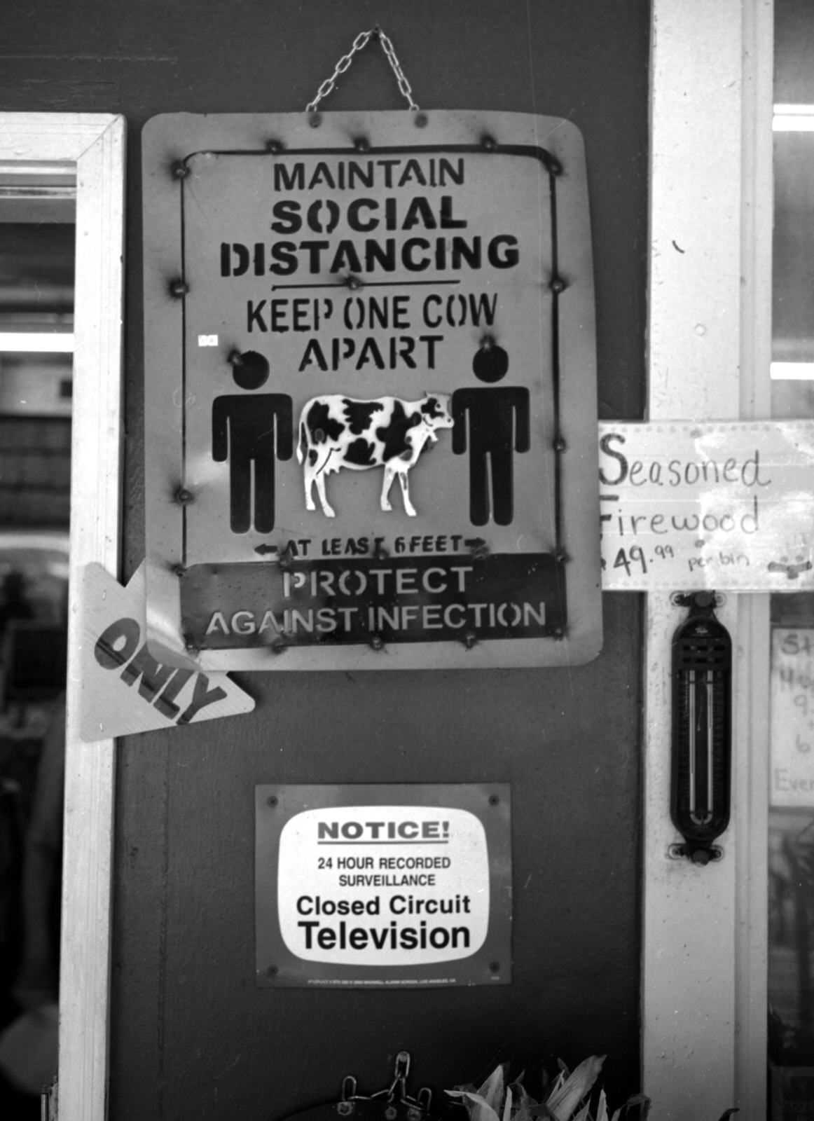 Invincible Gods: My Look Back at One Film Photo Every Day of 2021 ...