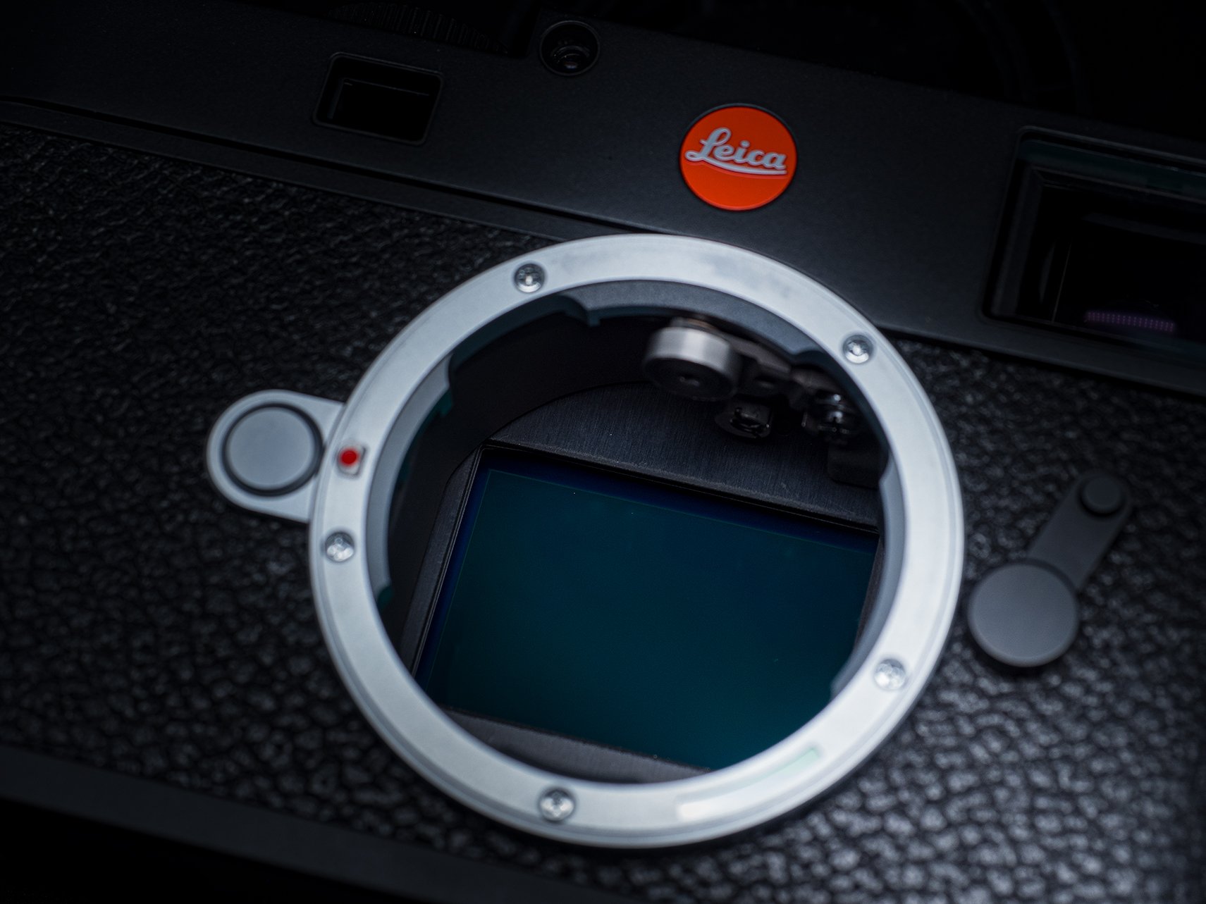 Dxomark Ranks The Leica M11 In The Top 5 Of All Full Frame Sensors