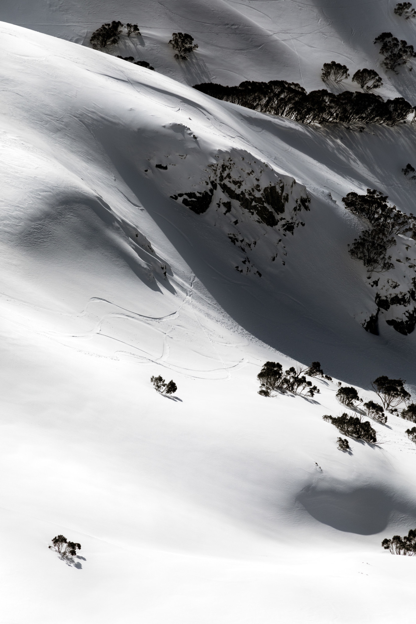 'Alpine' Shows the Snowy, Unseen Side of Australian Mountain Ranges ...