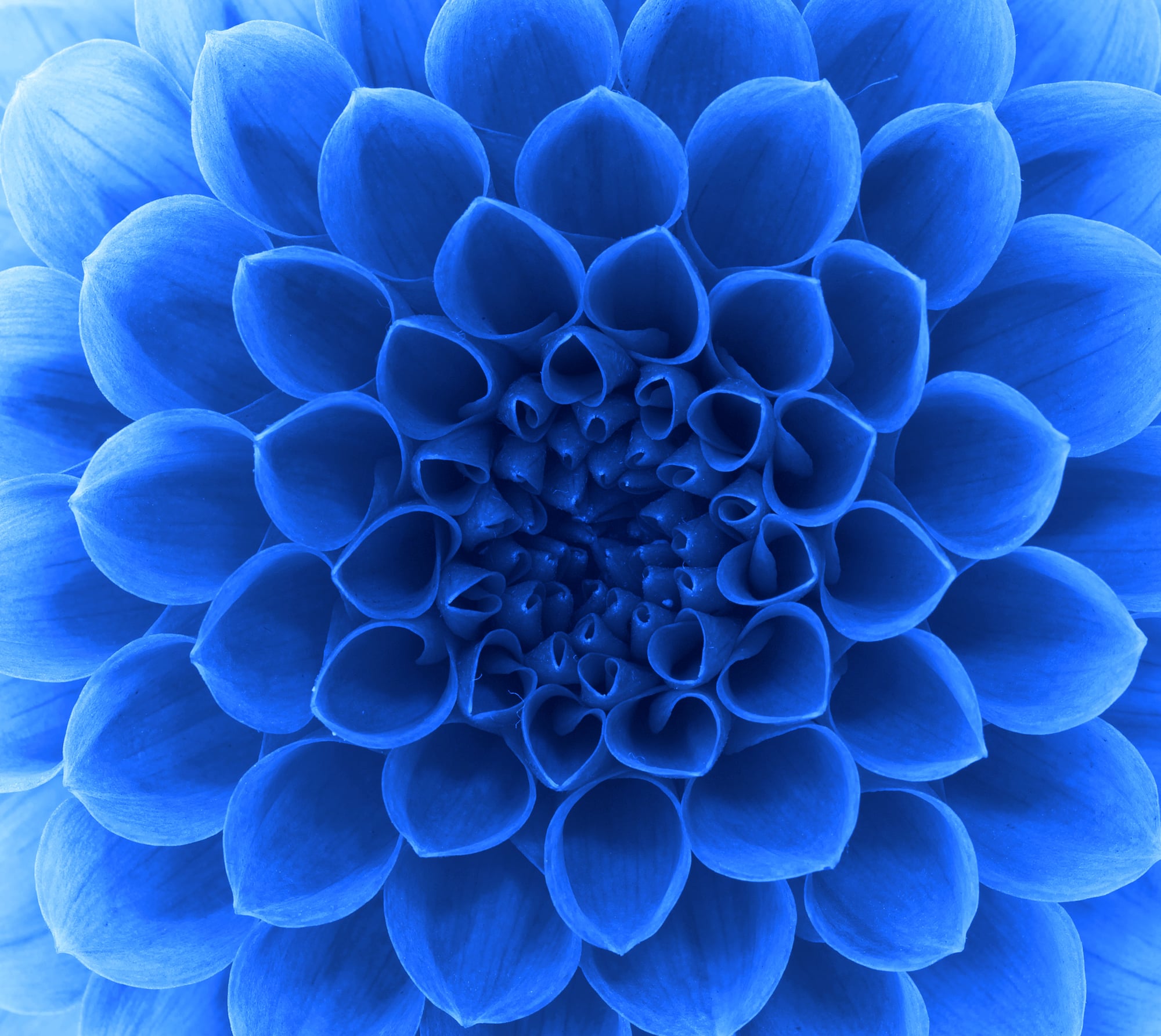 15 Types of Photography: Photo Genres You Should Know | PetaPixel