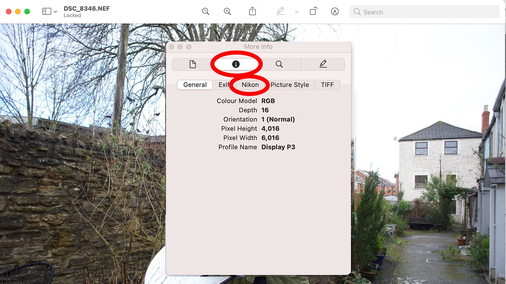 How To Determine My Shutter Count On A Nikon Dslr Camera - Conley Waseve1964