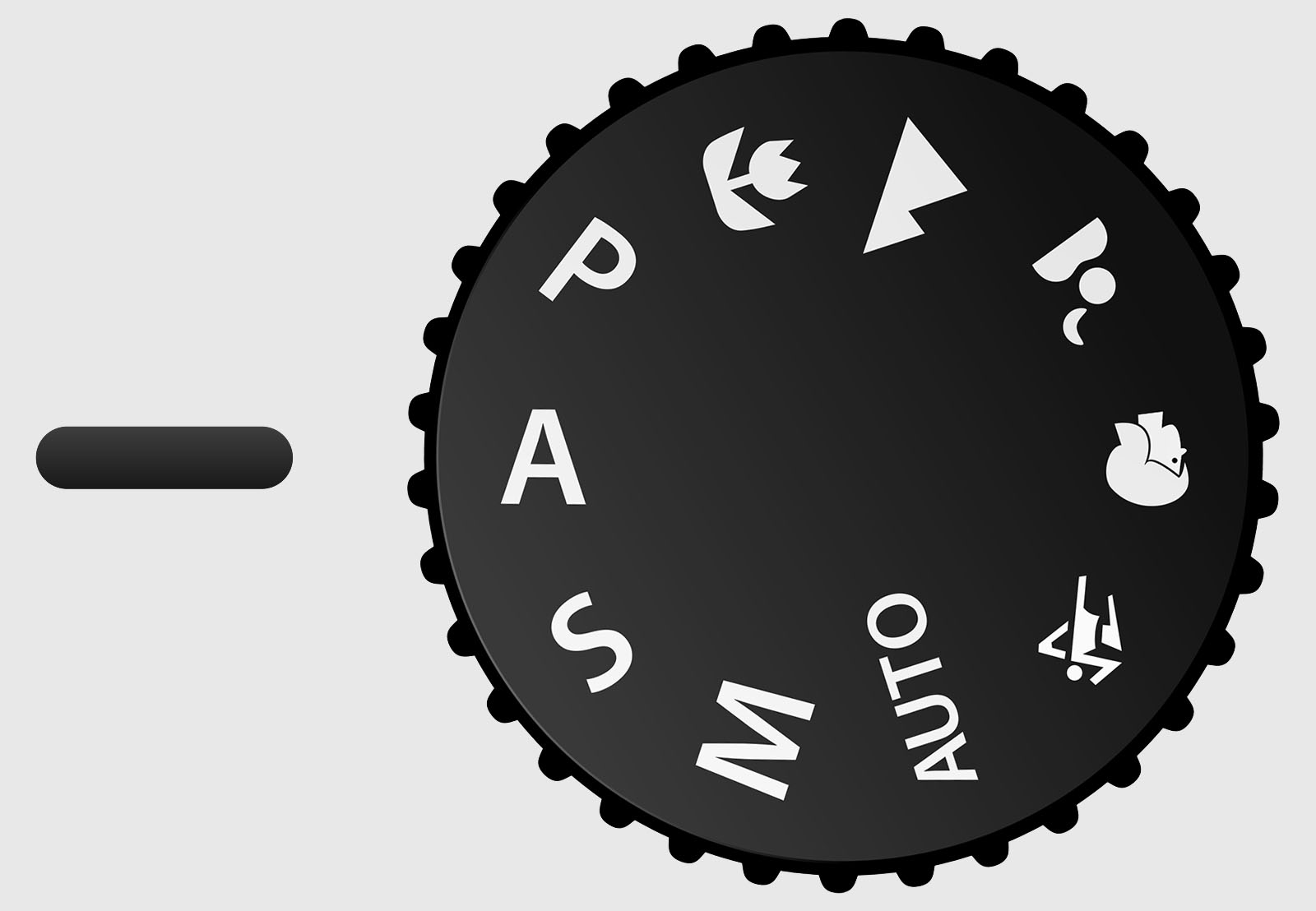 A Guide to Digital Camera Modes | PetaPixel