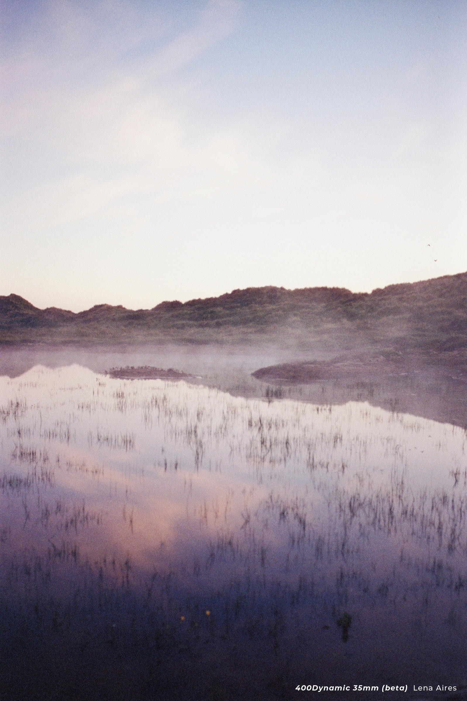 CineStill Launches New 400 Speed Color Film in 35mm and 120 Format ...