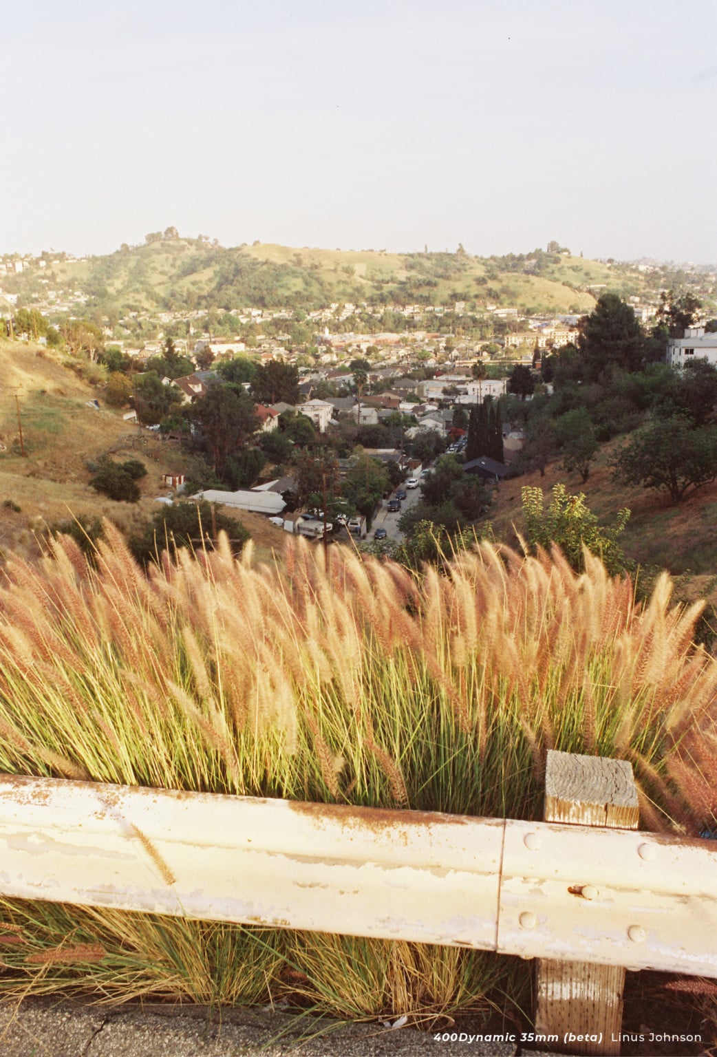 CineStill Launches New 400 Speed Color Film in 35mm and 120 Format ...