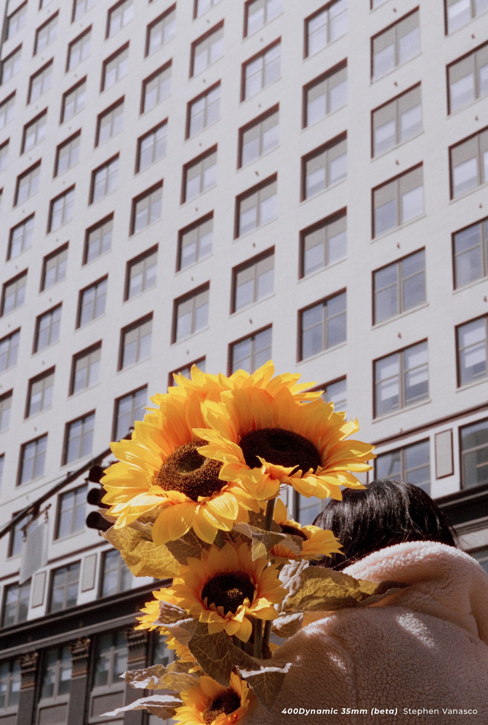 CineStill Launches New 400 Speed Color Film in 35mm and 120 Format ...