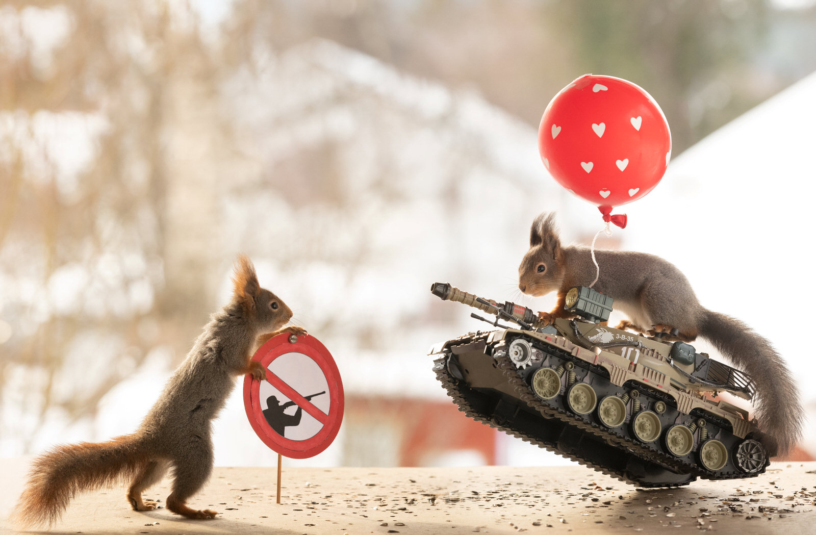 Photographer Shoots Anti-War Squirrel Photos as a Message of Peace ...