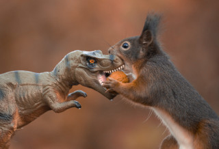 Photographer Captures Squirrels Playing with Dinosaurs | PetaPixel
