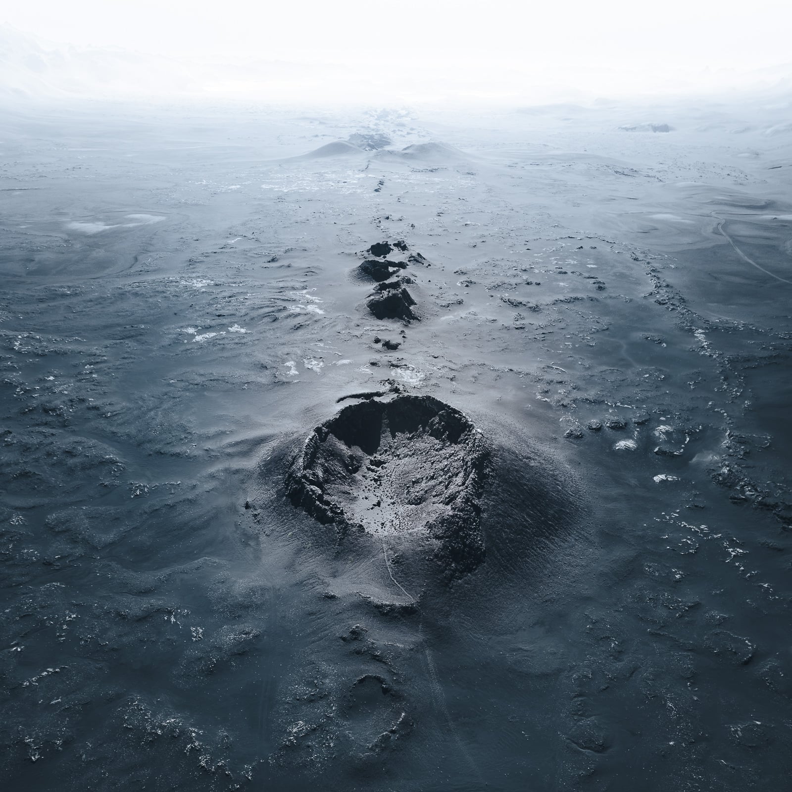 Regenerating the Planet is at the Core of this 'Life on Earth' Photo ...