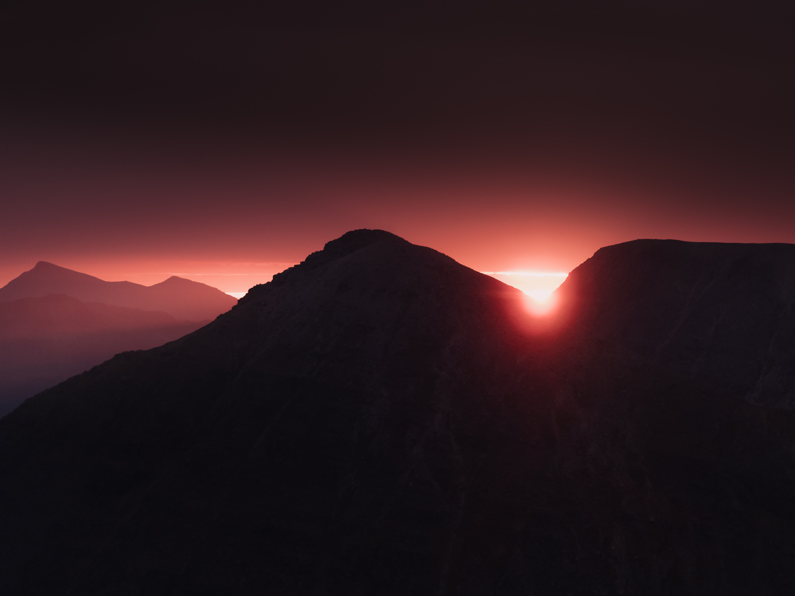 Regenerating the Planet is at the Core of this 'Life on Earth' Photo ...