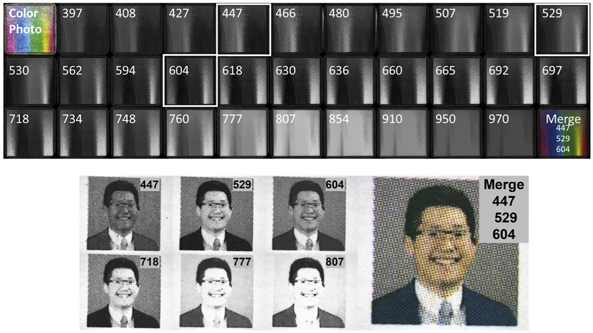 Scientists Develop AI Camera That Can Shoot Full Color in Total ...