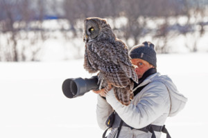 Great Grey Owl Lands on Wildlife Photographer's Camera | PetaPixel
