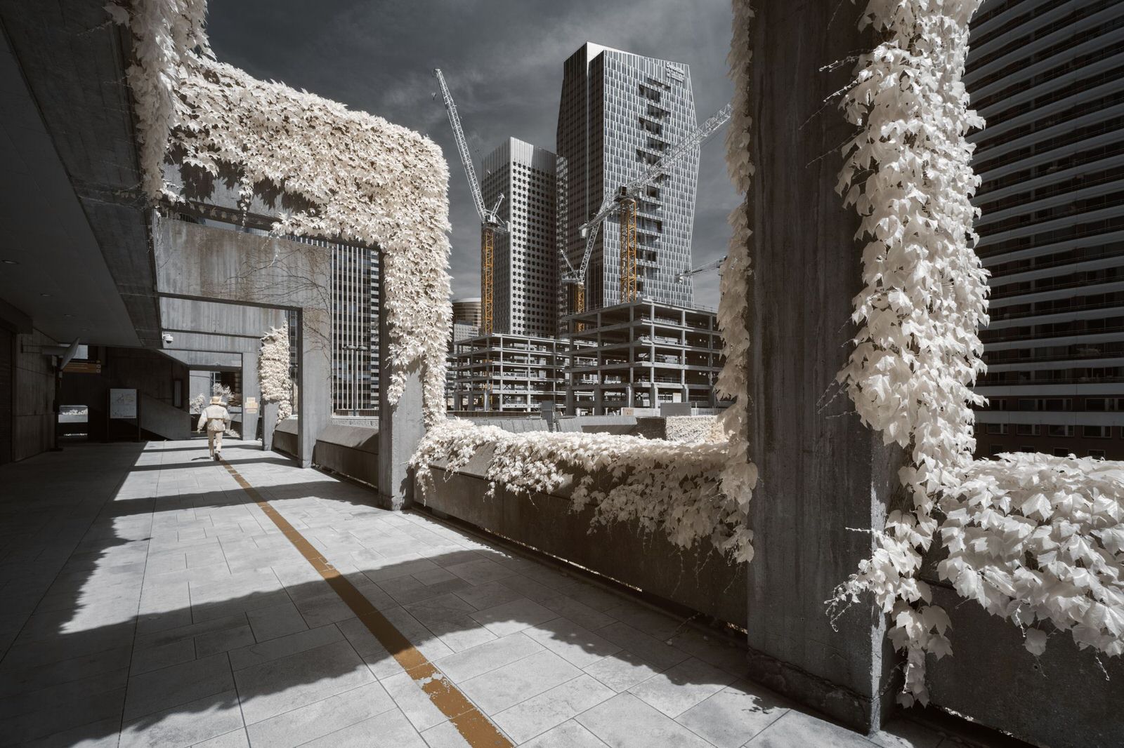 Infrared District: When Nature Confronts Urban Development | PetaPixel