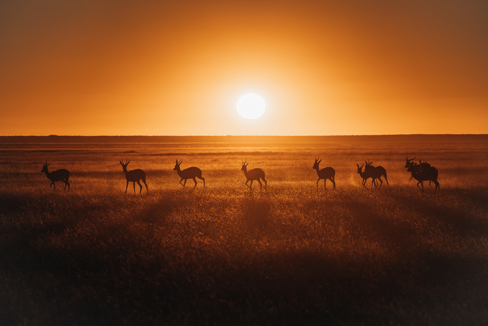 7 Tips for Photographing Dreamlike Landscapes | PetaPixel